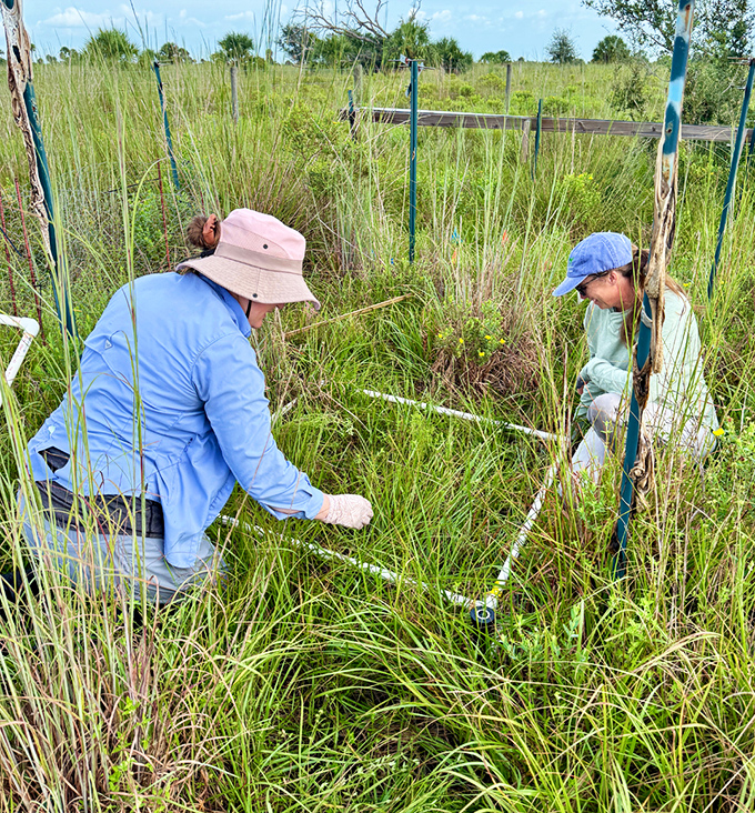 Dedicated researchers meticulously document plant life in the field, proving that some of the most important work happens on hands and knees.