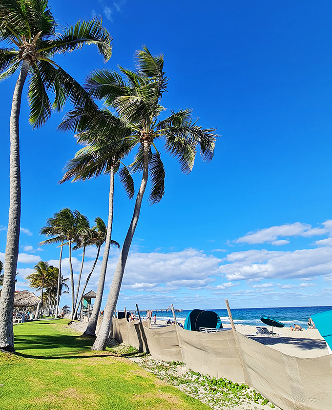 Palm trees stand like nature's exclamation points against the perfect blue sky&mdash;Florida's way of saying "You're welcome!"