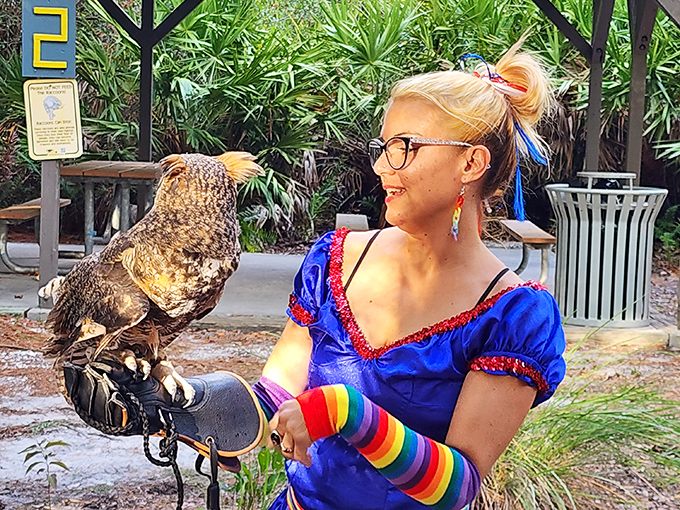 Educational wildlife demonstrations create powerful connections between visitors and animals that can't return to their natural habitats.