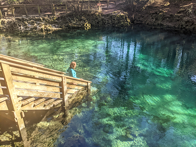 Wakulla Springs' expansive waters stretch toward the horizon, surrounded by a pristine natural forest.
