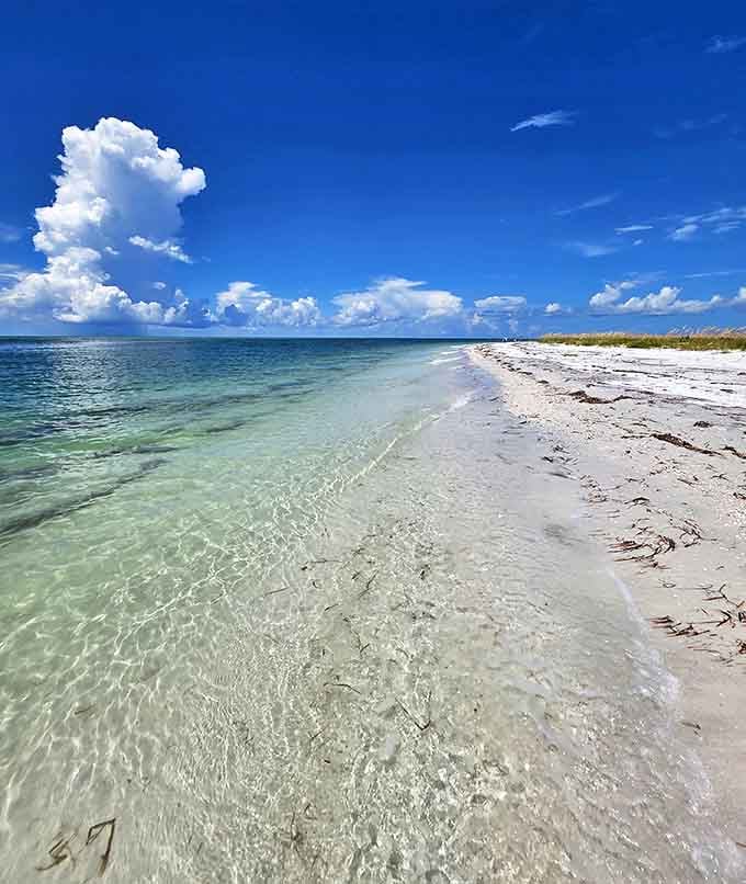 Transparent waves gently lap against the shore of this pristine preserve, where the bright blue sky meets the sparkling gulf.