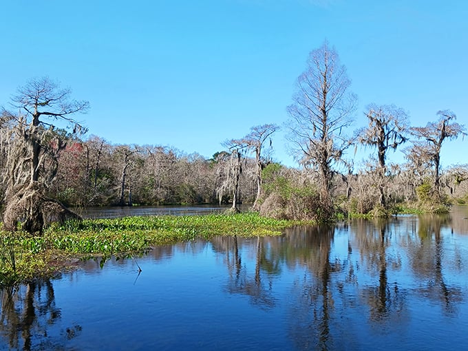 The historic waterfront at Wakulla Springs invites visitors to explore one of Florida's largest and deepest springs.