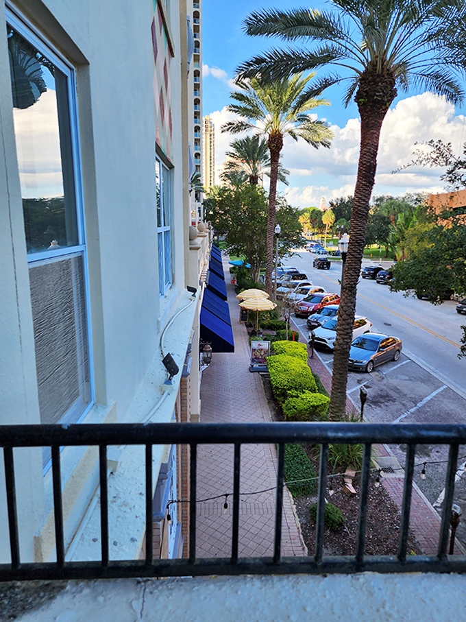 The balcony view offers a slice of St. Petersburg life: palm trees, parked cars, and possibilities. Morning coffee tastes better when enjoyed from this elevated perch.