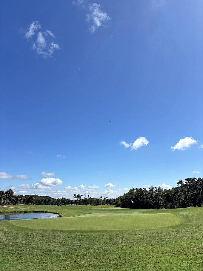 Florida's legendary blue skies frame perfectly manicured greens, creating postcard-worthy views that almost make you forget about your triple bogey.