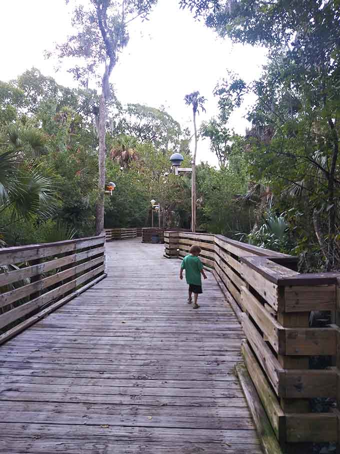 That boardwalk stretching into the distance practically begs for exploration, with adventure waiting around every bend.