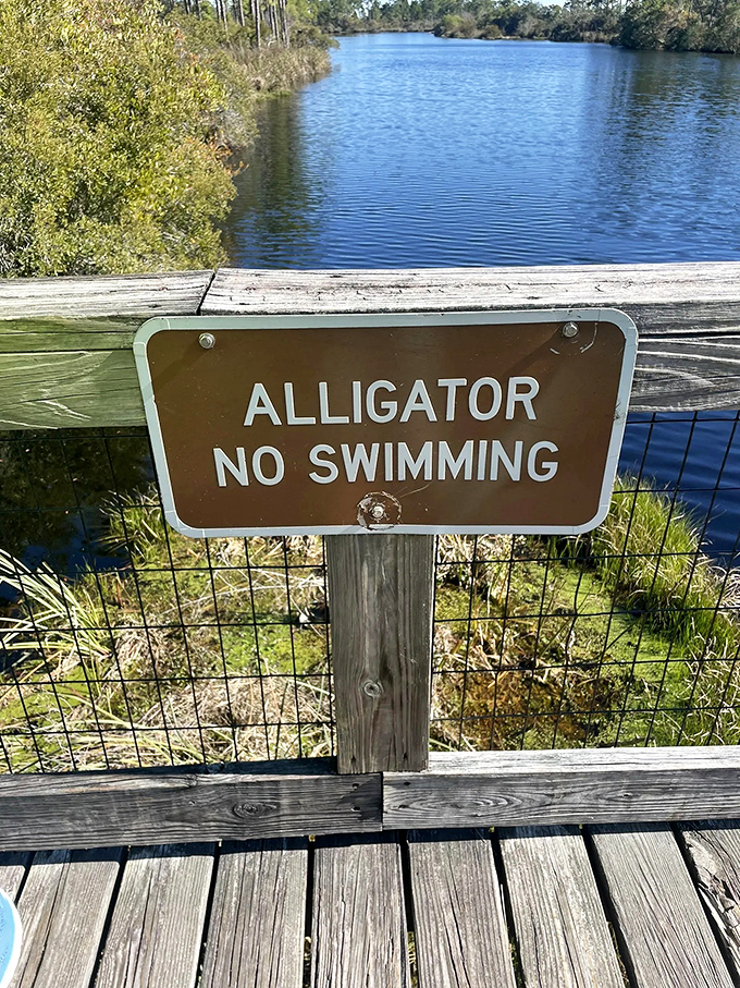 Nature's most effective warning sign &ndash; because nothing says "maybe don't swim here" quite like mentioning the prehistoric predators who call these waters home.