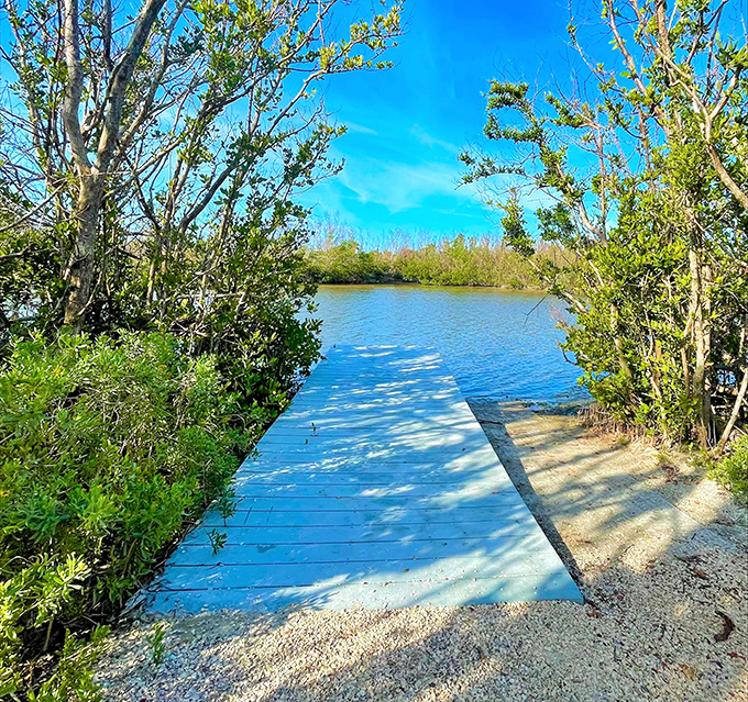 This wooden pathway doesn't just lead to water &ndash; it leads to the part of yourself that remembers what matters isn't in your inbox.