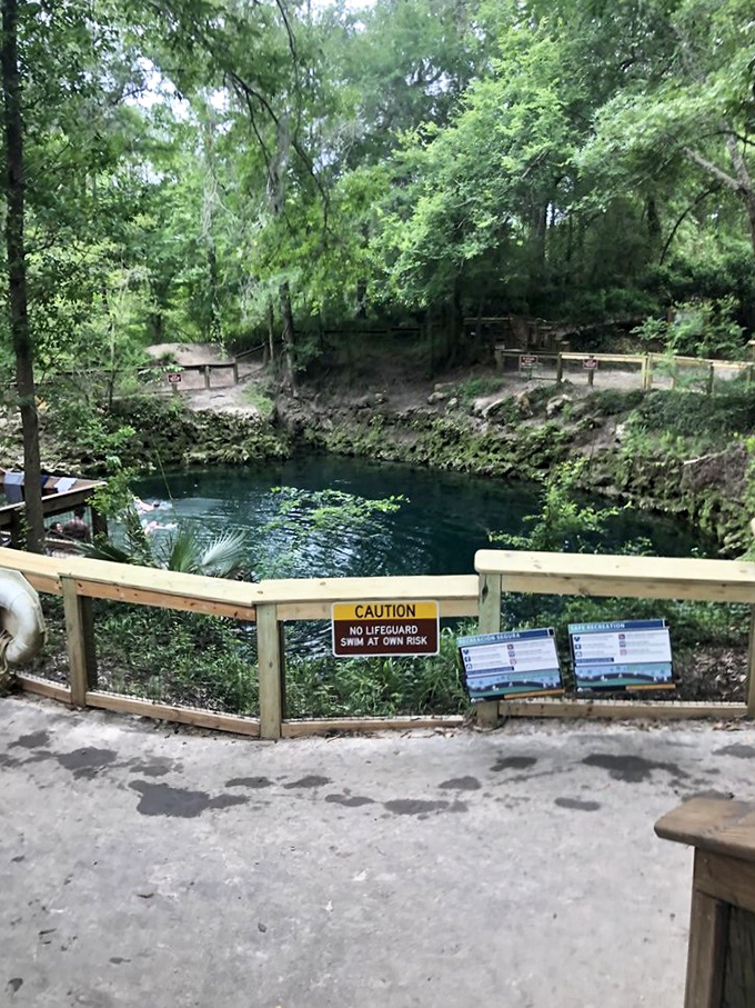 From the observation deck, visitors gain a view of the spring's true scale and breathtaking clarity.