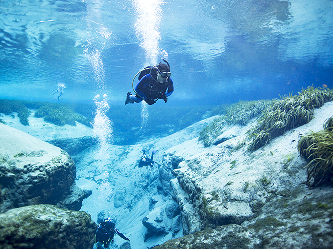 Scuba divers explore the depths of Alexander Springs, where visibility rivals the clearest oceans on Earth.
