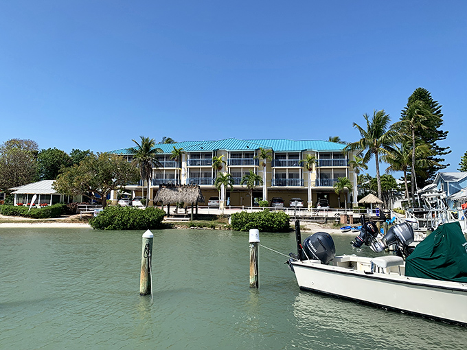 Dock area: Where boats bob like apples in water so clear you can count fish, and island time ticks at its own leisurely pace.