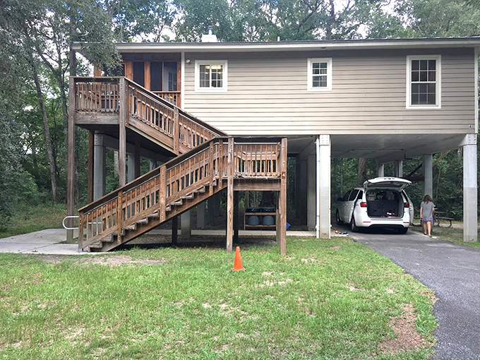 These elevated cabins offer front-row seats to nature's greatest show &ndash; no ticket required, just a willingness to unplug and observe.