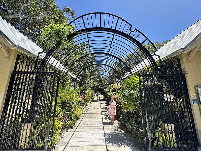 A wrought-iron canopy creates a grand botanical runway, framing the path with greenery that practically applauds as you enter.