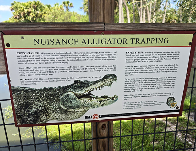 Learning about nuisance alligator trapping reminds you that living in Florida means coexisting with animals that don't care about your property values.