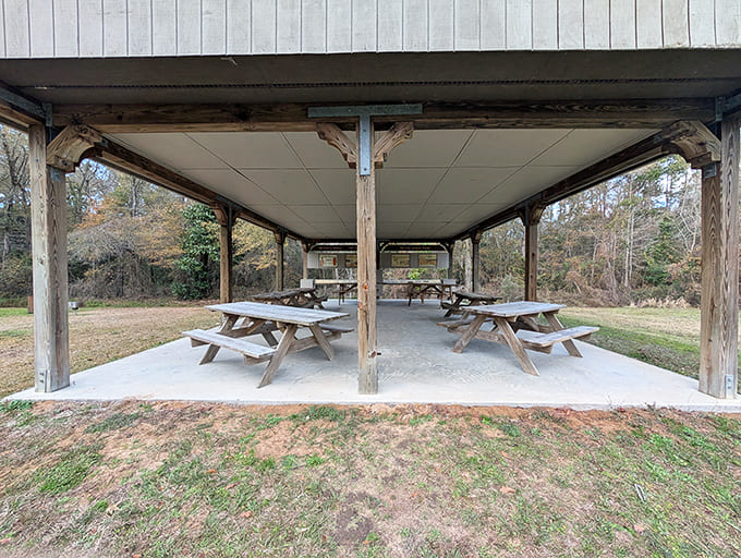 Covered picnic areas provide shaded relief where you can refuel while surrounded by scenery that's been Instagrammable for centuries, just without the Instagram.