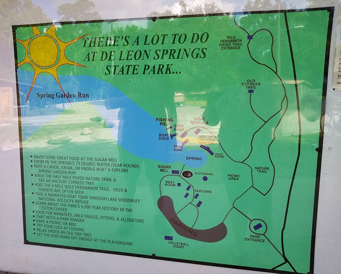 This colorful guide reveals De Leon Springs' hidden treasures. Like a treasure map for nature lovers, it points to adventures waiting around every corner.