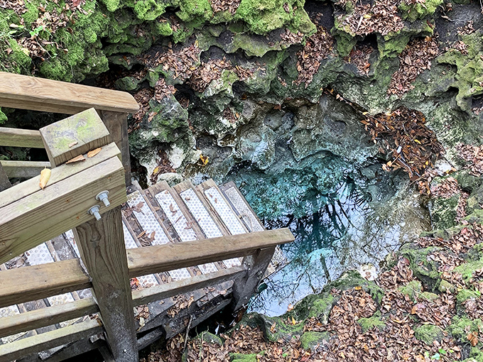 A limestone window to the aquifer below, proving some of Florida's best features are hiding underground.