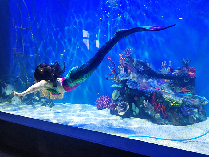 Gracefully navigating both water and childhood dreams, this performer makes breathing optional and magic mandatory.