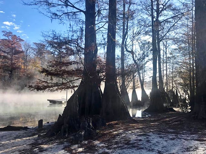 Dawn breaks over the cypress-lined shore, where early risers might catch sight of otters, turtles, or other wildlife.