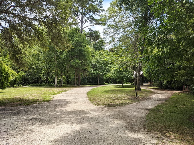 Fork in the road? Nature's version of life choices offers equally beautiful paths &ndash; without the stress of wondering which is "right."