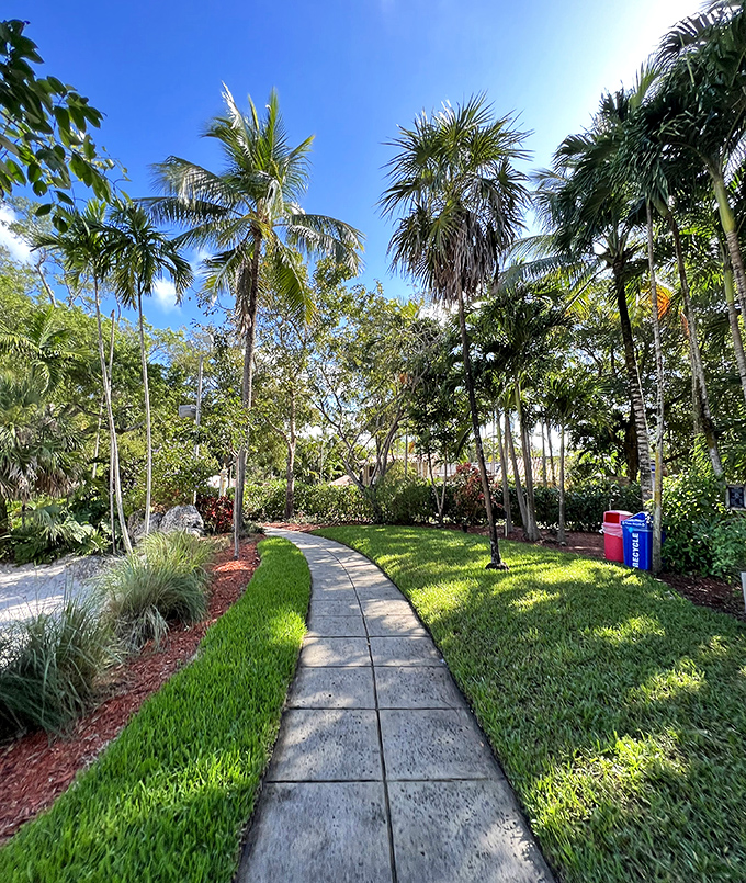 Every path leads to discovery at the Venetian Pool, where tropical landscaping creates natural galleries between swimming spots.