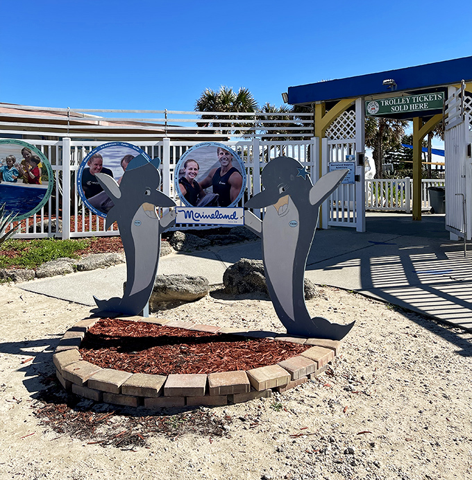 Dolphin cutouts create the perfect photo opportunity for visitors who prefer their marine life interactions completely dry and splashless.