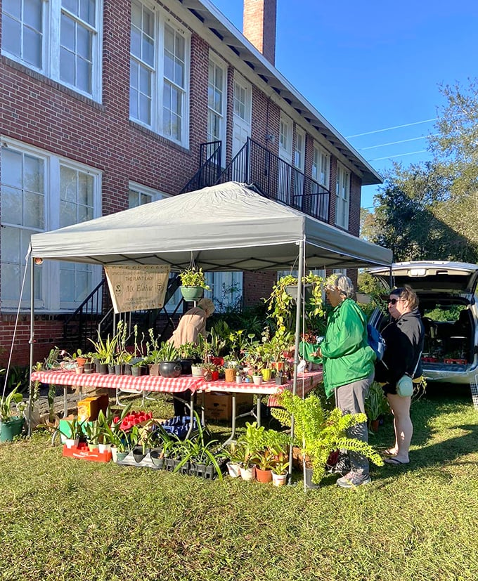 Plant enthusiasts browse a colorful selection of greenery during one of the schoolhouse's community market events.