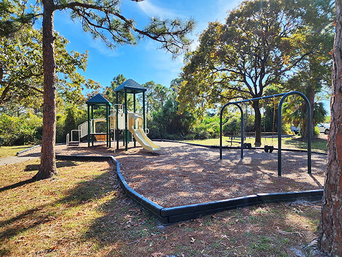 Even in this natural wonderland, traditional play structures remind us that sometimes kids just want to climb something that doesn't have thorns.