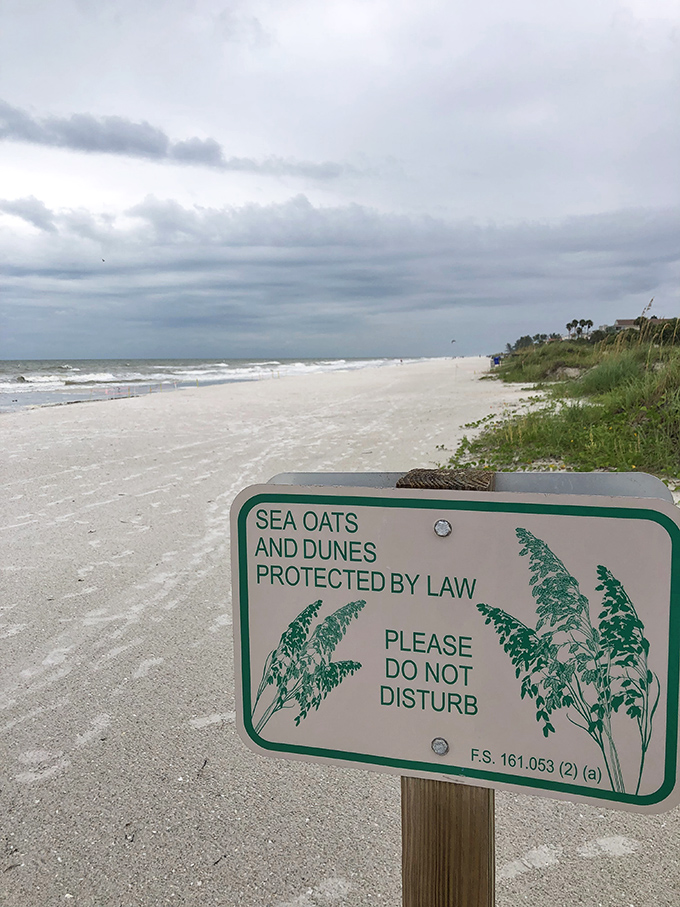 "Please don't disturb" &ndash; not just a sign for sea oats, but nature's gentle reminder that some things are worth protecting.