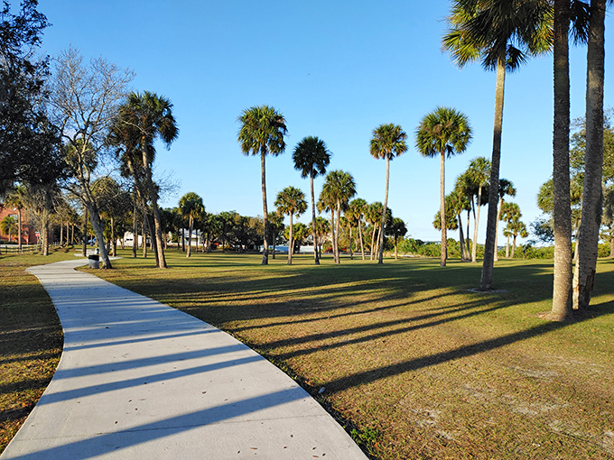 Riverview Park's palm-dotted landscape offers a tranquil green respite from downtown exploration, perfect for afternoon contemplation.