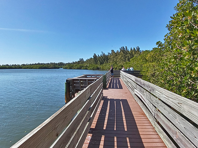 Round Island Beach Park's boardwalk offers front-row seats to nature's daily performance &ndash; dolphins, manatees, and birds that don't care about your Instagram.
