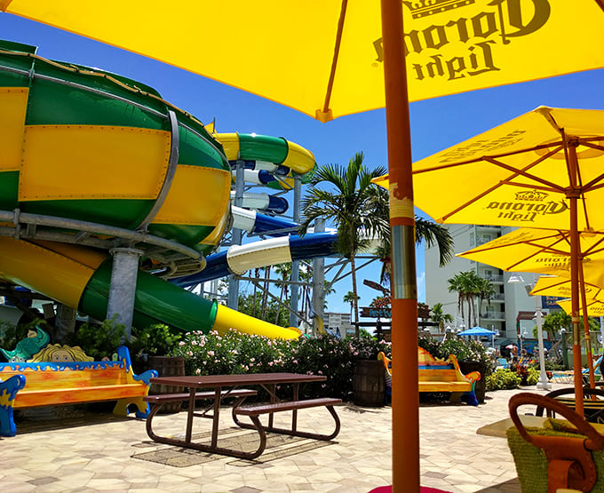 Picnic areas nestled among the palms provide the perfect spot to refuel and regroup before the next round of aquatic adventures begins.