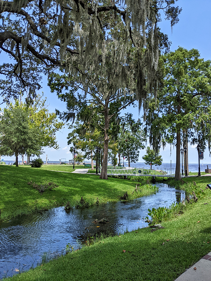 This peaceful stream winds through the park like a liquid ribbon, connecting the famous spring to the mighty St. Johns River.