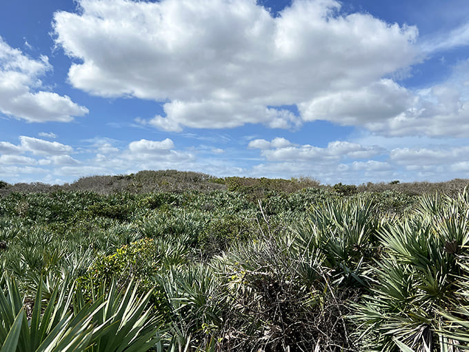 The view from this vantage point stretches across a landscape that's been serving looks since before serving looks was cool.