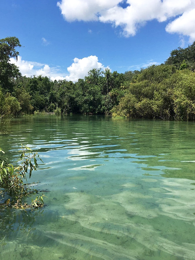 Liquid crystal clarity that would make any Caribbean beach jealous &ndash; all without a passport or plane ticket.