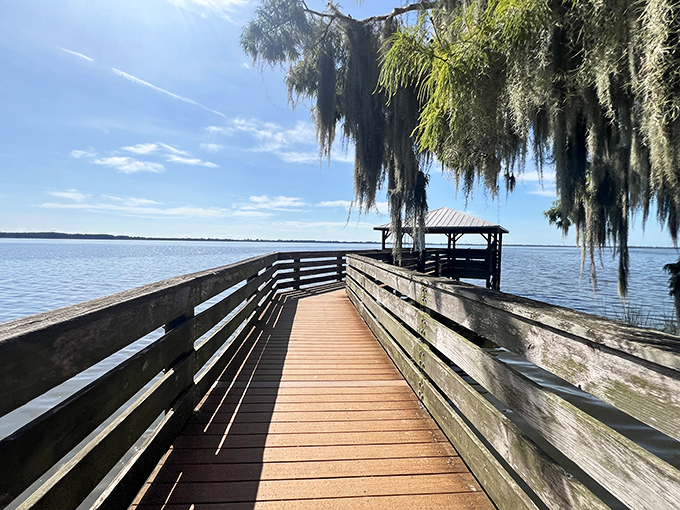 This wooden boardwalk extends an invitation to venture further into watery wilderness, promising discoveries with every step forward.