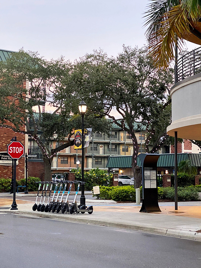 Electric scooters stand ready for adventure, proving that exploration is sometimes better with a little battery assistance.
