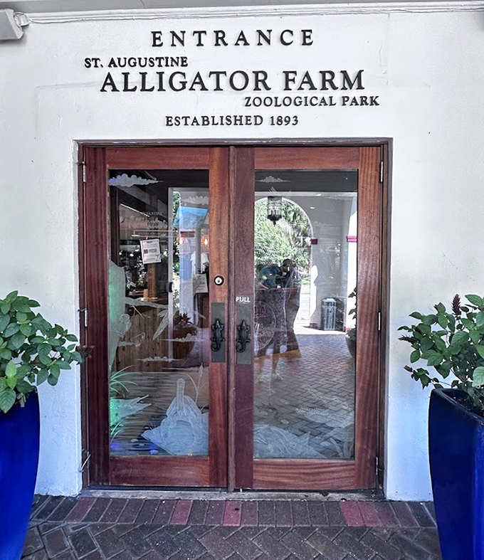 The historic entrance to St. Augustine Alligator Farm welcomes visitors with Spanish-influenced architecture befitting America's oldest city.