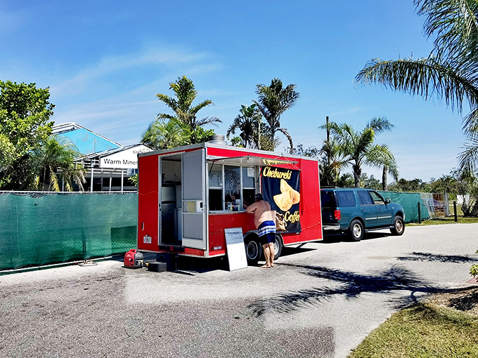 This food truck brings delicious sustenance to hungry swimmers, because even wellness seekers need to refuel between healing soaks.