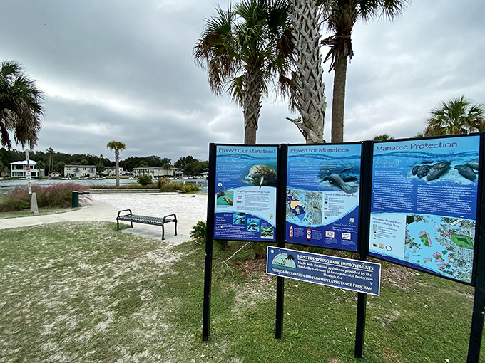 Educational displays teach visitors about manatee conservation, turning a fun day out into a stealth learning experience.