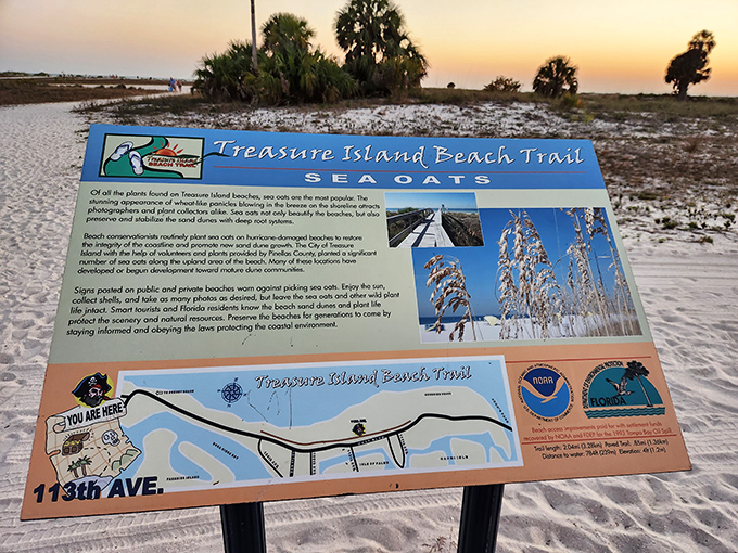 The Treasure Island Beach Trail sign offers a map to adventure, guiding visitors through this coastal paradise with helpful local insights.