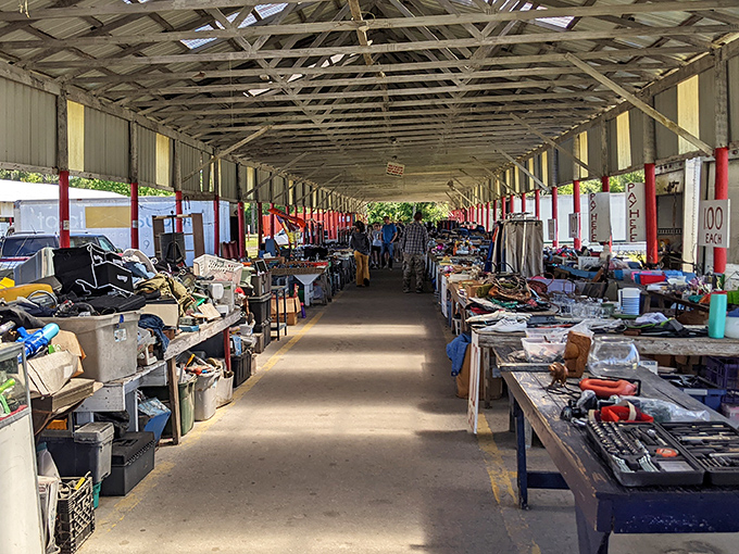 Treasure hunters navigate long aisles packed with potential finds &ndash; from practical household tools to whimsical collectibles that might become tomorrow's family heirlooms.