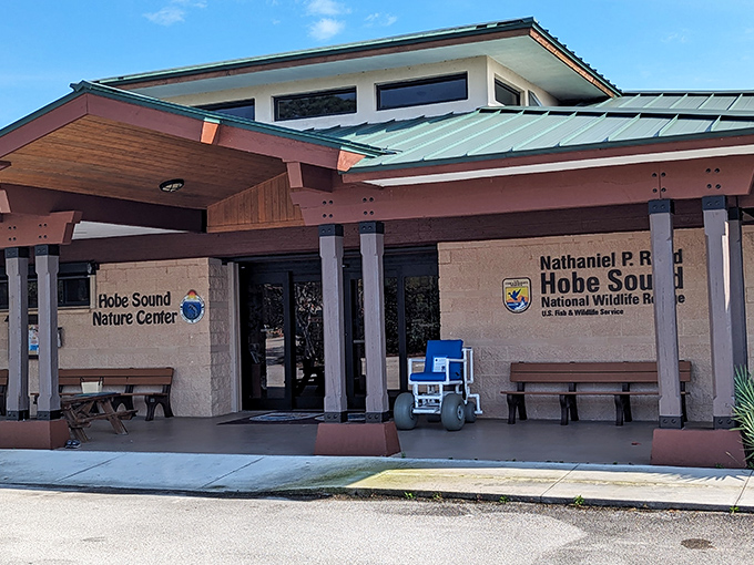 The Hobe Sound Nature Center welcomes visitors with its distinctive architecture, a gateway to understanding this precious ecosystem.