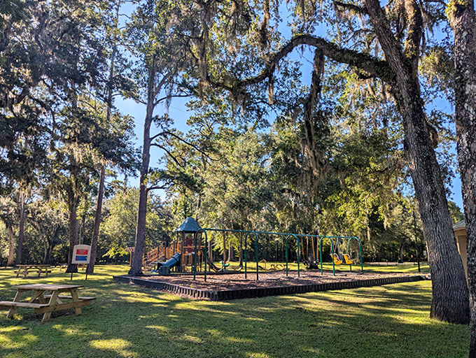 Perfect spot for family fun! Enjoy the shade of the live oak trees and a relaxing afternoon in the park.