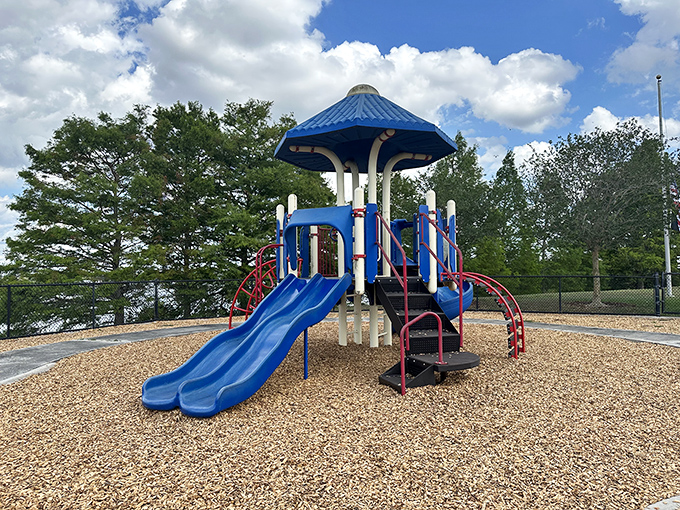 The playground buzzes with energy and imagination – perhaps nurturing the next generation of daredevils and record-breakers.