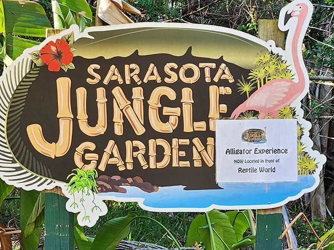 The sign promises jungle adventures, while the flamingo silhouette promises Instagram opportunities that will make your followers jealous.
