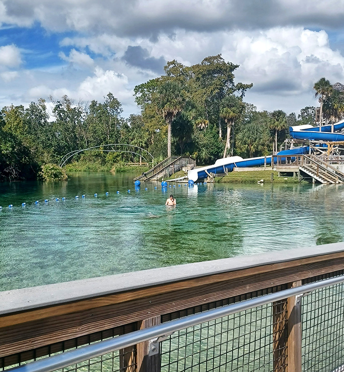 The swimming area's rope barriers create safe zones for different skill levels, while the spring's natural clarity reveals underwater treasures.