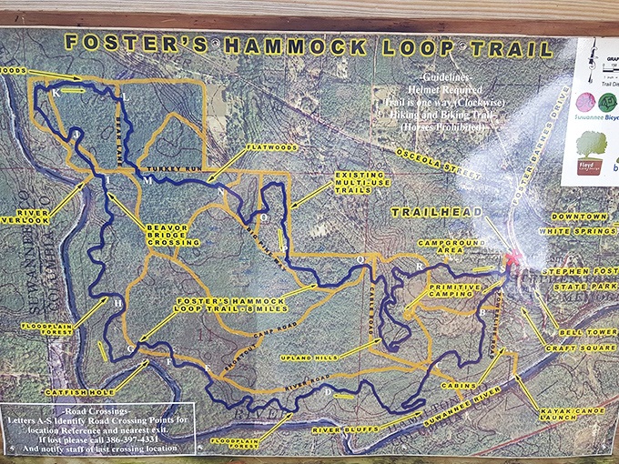 The trail map reveals a web of possibilities, each path offering its own unique journey through Florida's wild heart.