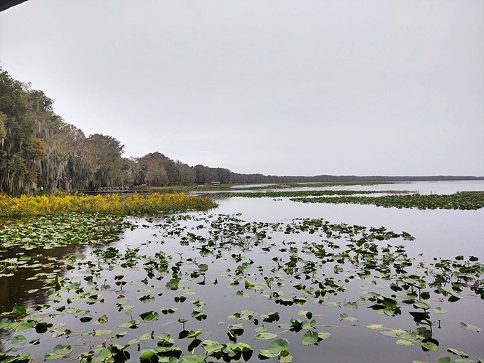 The covered pavilion frames a postcard-worthy view, inviting visitors to pause and soak in nature's masterpiece without Instagram filters.