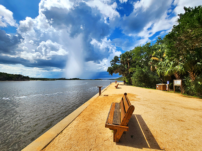 This bench offers front-row seats to nature's theater, where water meets wilderness in perfect harmony.