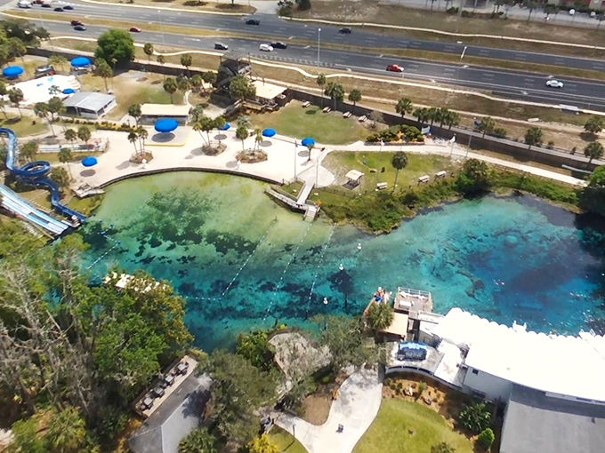 Weeki Wachee Springs' aerial view reveals its perfect circular spring basin and connecting waterways.